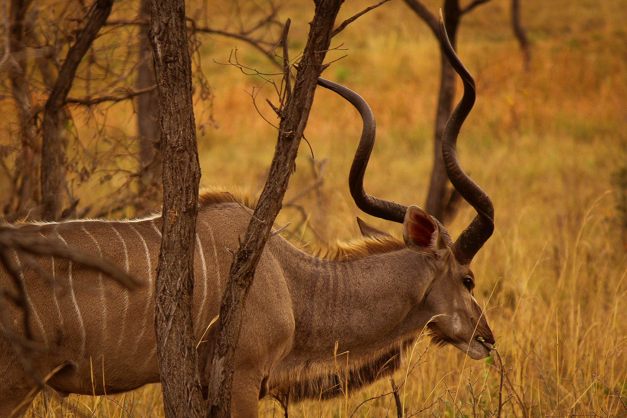 Rick Hoadley – Heart of Flesh Literary Journal