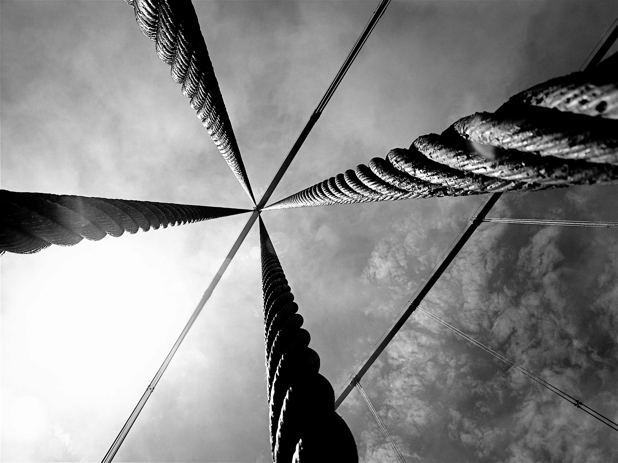 Steve Adelmann – Heart of Flesh Literary Journal